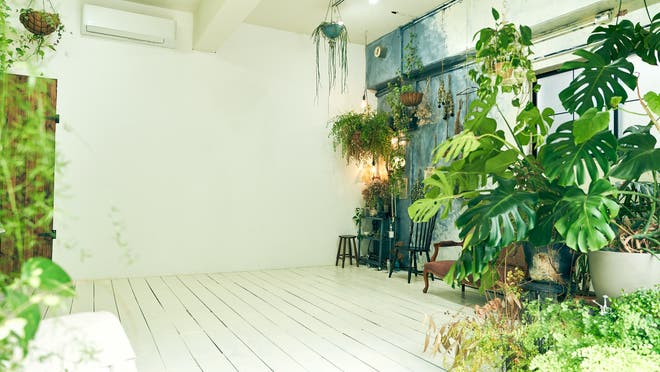 STUDIO67 River【駅徒歩7分】グリーンに癒される ガーリーでフレンチシックなスタジオ。パーキングスペース有!の写真12