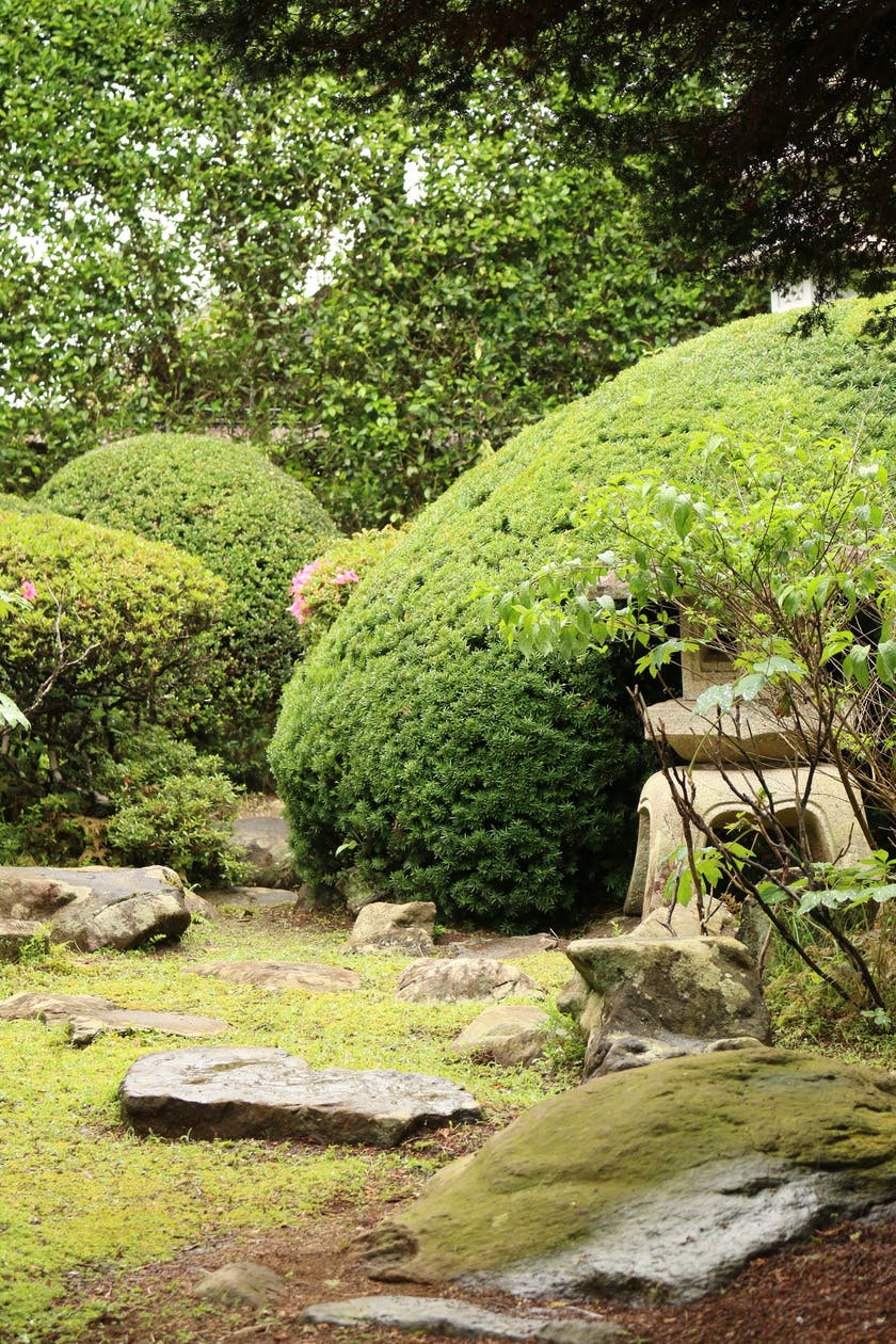 長屋門・母屋・3つの蔵・日本庭園・屋敷林で構成された農家屋敷の写真15