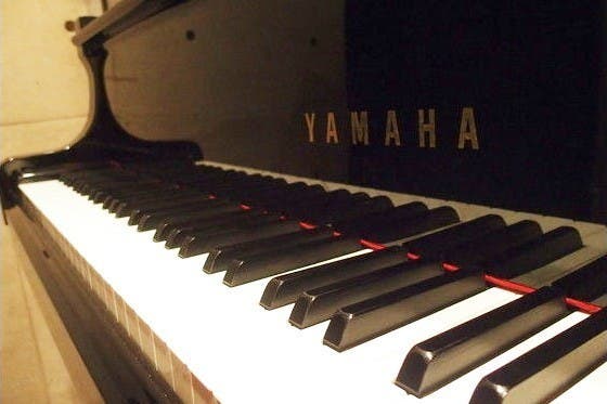 【下北沢】地下なのに高さ5.3m！？設備充実の半月型大ホールでコンサートはいかがでしょうか？の写真15