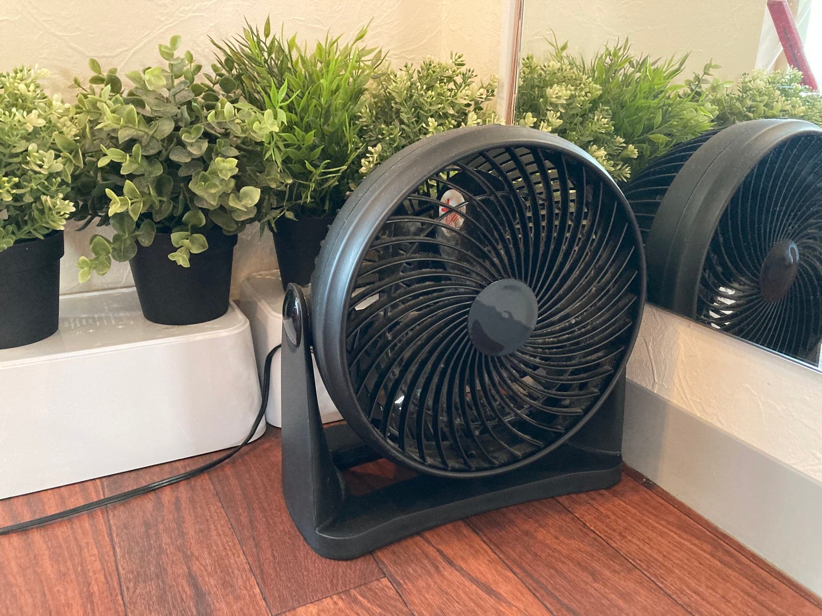 撮影・収録・展示会など使い方は様々🌸定期利用もOKです。の写真12