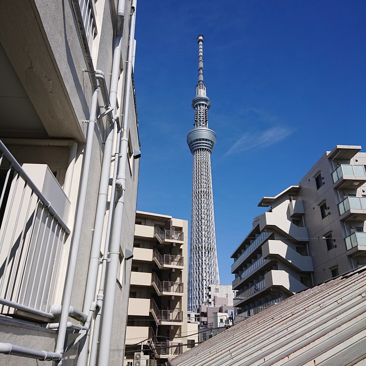 古民家をDIYで改装した路地裏の隠れ家のようなカフェバー/スーパー徒歩1分（BigA）/駅徒歩4分/リアルバースペースの写真7