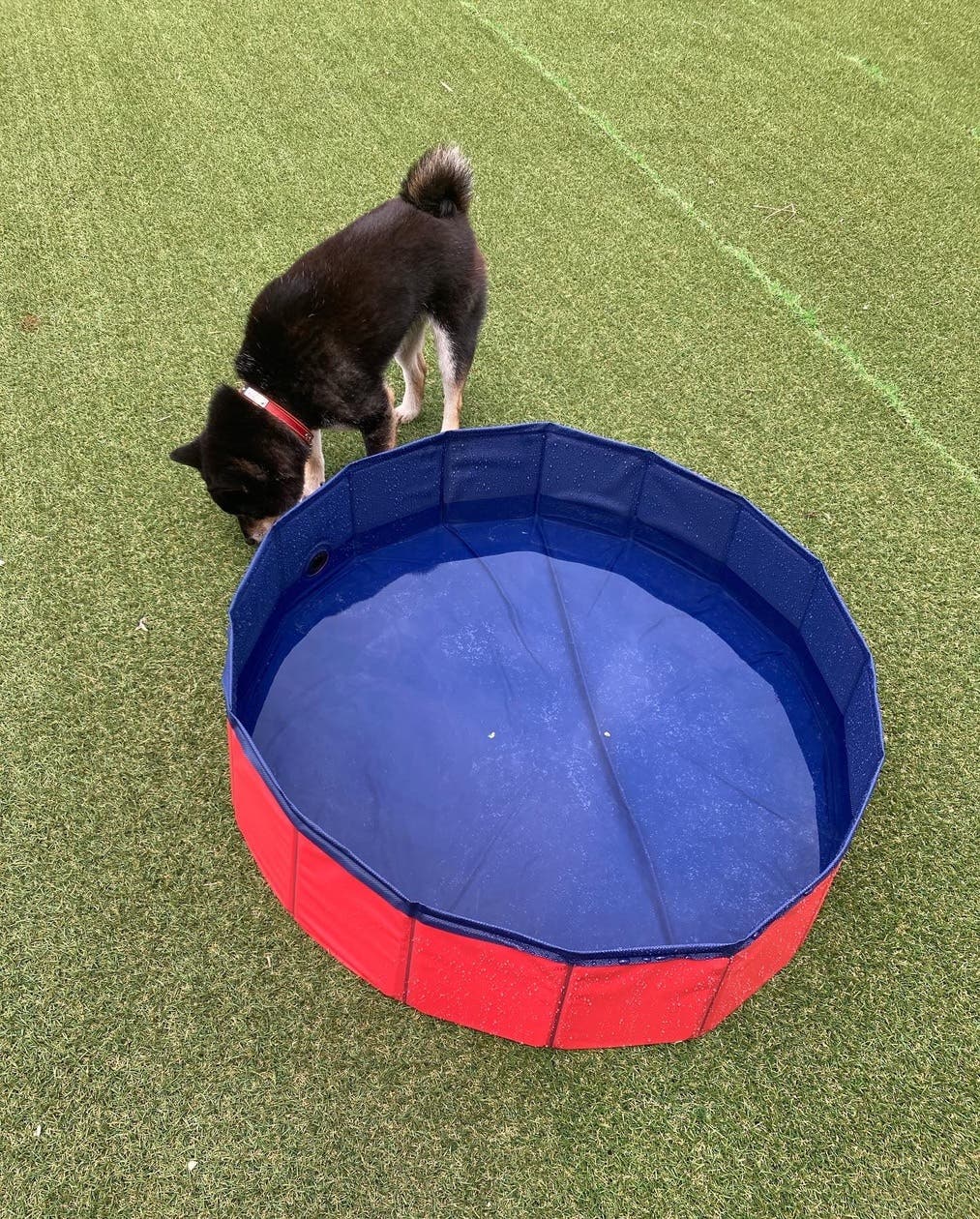 ドッグラン付きレンタルスペース（キッチン付）の写真22