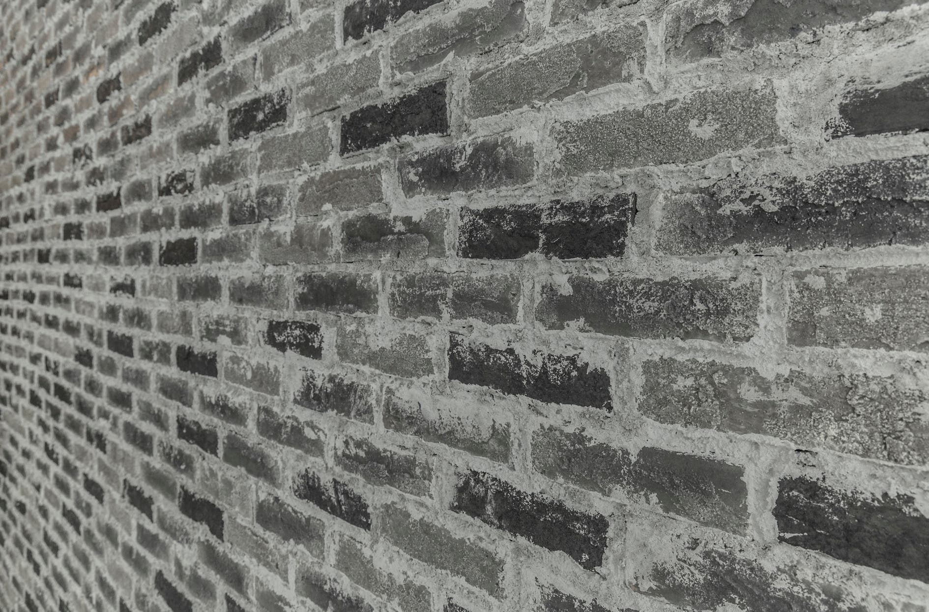 スモーク クロマキ 大音量可 引16m天高3.5m 機材無料 個室メイクR 最大幅11m本格プロ仕様白ホリスタジオ【徒歩2分】の写真8