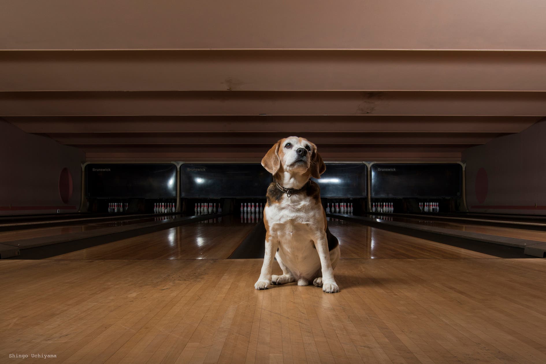 東京から近い昭和なボウリング場。開業50年、昭和レトロなアットホームな雰囲気。の写真14