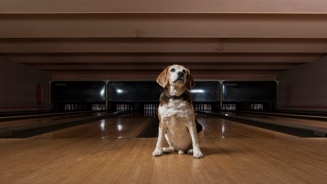東京から近い昭和なボウリング場。開業50年、昭和レトロなアットホームな雰囲気。の写真14