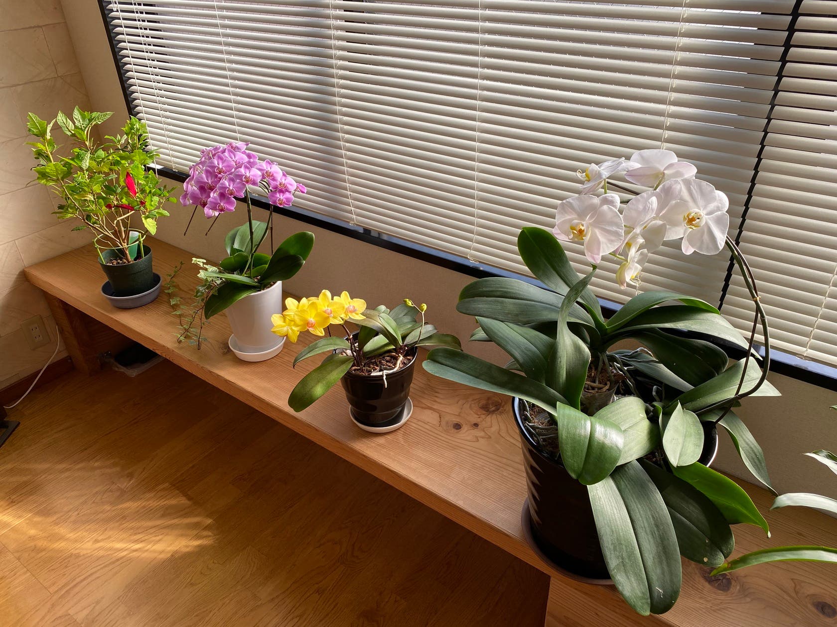 【福岡市中央区天神】50坪の広く明るいスタジオです。レンタルスタジオ・レンタルスペース・貸し会議室としてご利用ください。の写真7