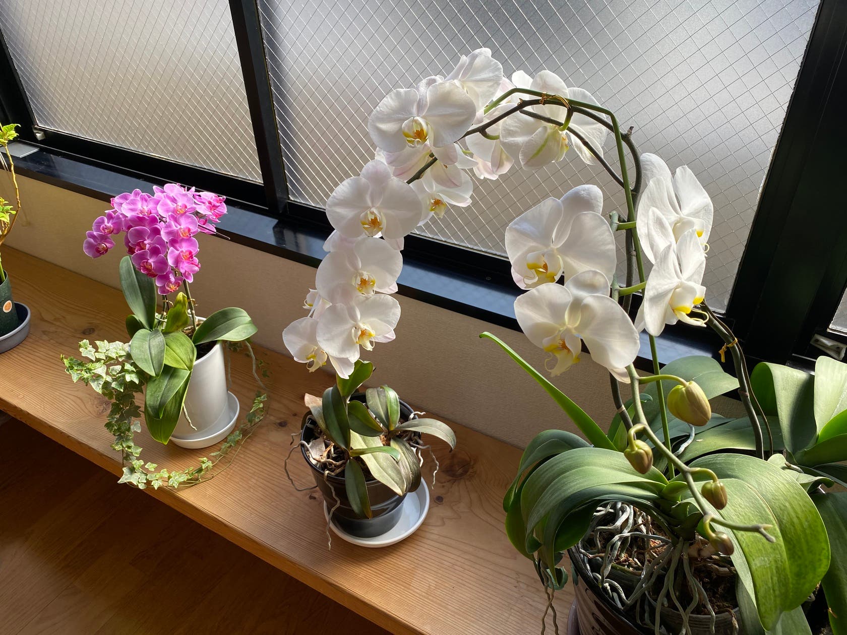 【福岡市中央区天神】50坪の広く明るいスタジオです。レンタルスタジオ・レンタルスペース・貸し会議室としてご利用ください。の写真8