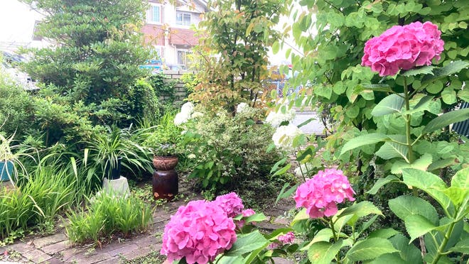 【駐車場無料】ウイリアム・モリスのダンスガーデン!広くてレトロシックな非日常空間は撮影!パーティ!ダンスに!花と緑の庭で撮影も!の写真3