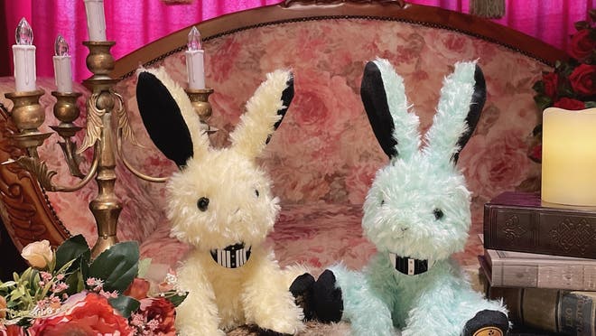 姫カワ系・和室やキッチンも✨レンタル撮影スタジオ📷コスプレ・ポトレ・ドール撮影・女子会等に❣テレワーク・動画配信もOK💛の写真26