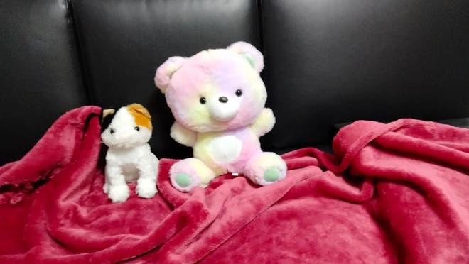 【JR京橋駅徒歩40秒】格安・駅近/24h利用可/おうちデート/飲み会/Netflix/(ゴミ出し無料)長時間🉐の写真8