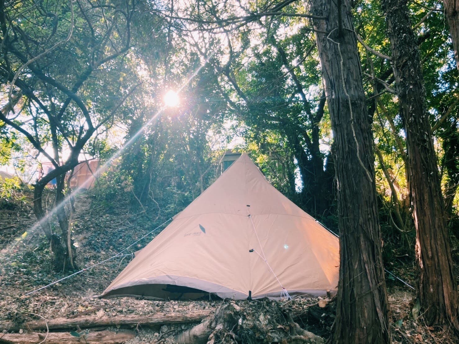 駅近！海近！海の見える丘の上のキャンプ場を貸し切り！の写真5