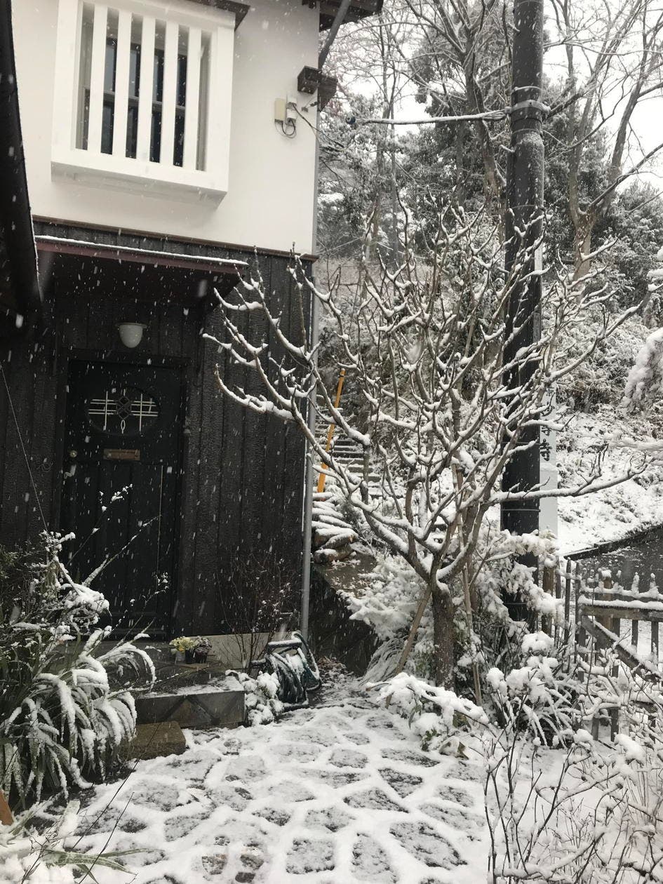 呉服屋の奥座敷を鎌倉へ移築。静かな谷戸で130年の時を慈しむ。の写真18