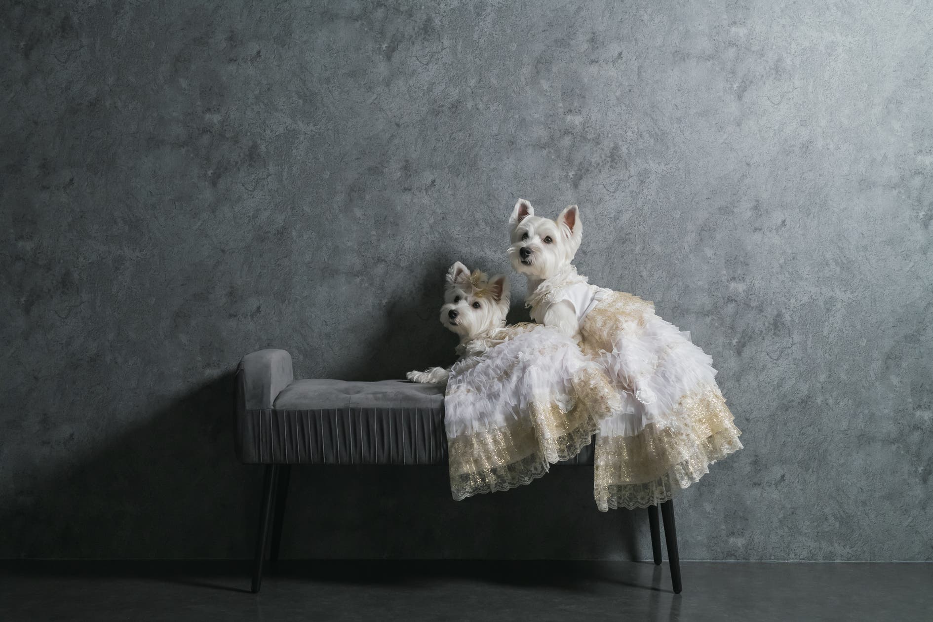 LEDライトのレンタルの画像2