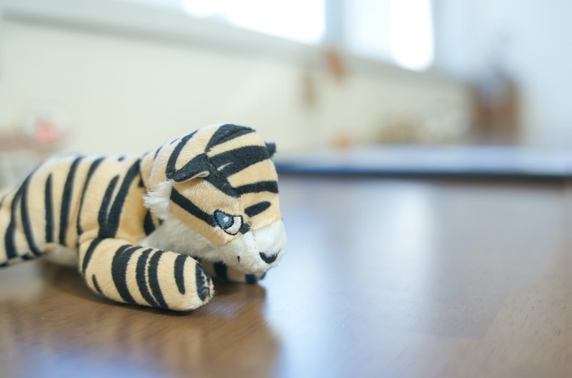 ＜TIGERスペース＞お洒落なシーシャカフェを貸切🐯喫煙可🚬Wi-Fi📶パーティー/ロケ撮影/動画撮影/会議/テレワークの写真13