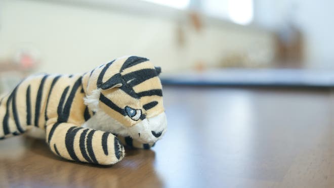 <TIGERスペース>お洒落なシーシャカフェを貸切🐯喫煙可🚬Wi-Fi📶パーティー/ロケ撮影/動画撮影/会議/テレワークの写真13