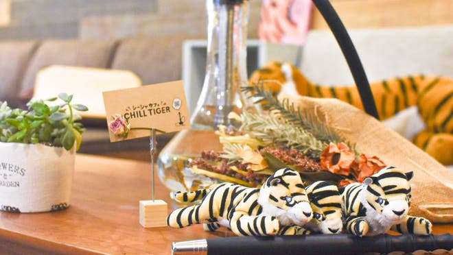 <TIGERスペース>お洒落なシーシャカフェを貸切🐯喫煙可🚬Wi-Fi📶パーティー/ロケ撮影/動画撮影/会議/テレワークの写真28
