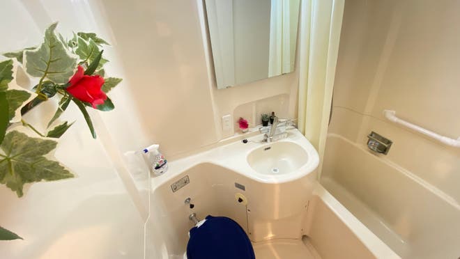 MAHALO:パーソナルカラー診断最適✨撮影用照明2台昼白色明るい壁一面鏡部屋✨:動画撮影:✨骨格診断✨メイクレッスン✨着付けの写真6