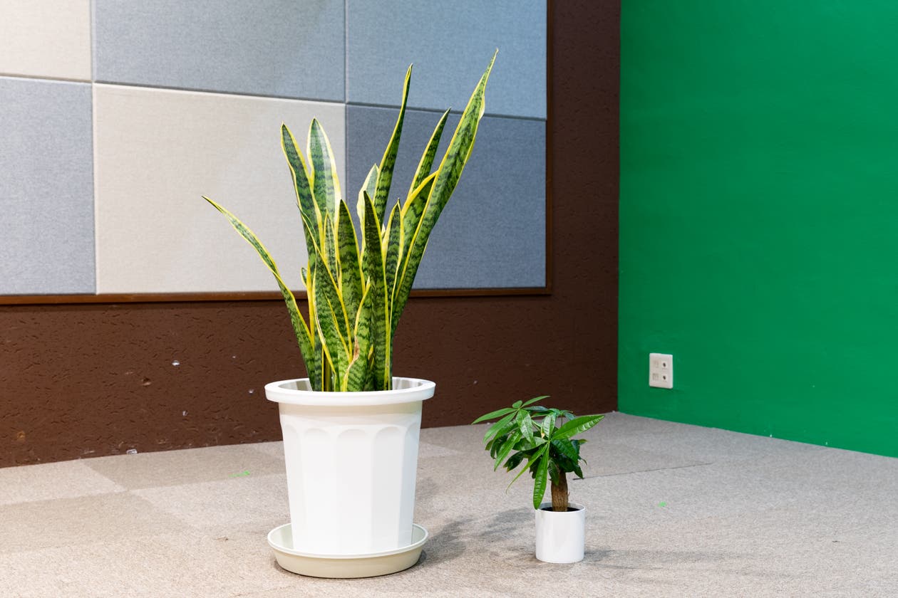 壁面大型グリーンバック・動画撮影・LIVE配信スタジオ・高速光回線・機材貸出無料、メイクルーム完備の写真10