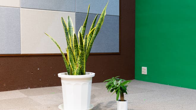 壁面大型グリーンバック・動画撮影・LIVE配信スタジオ・高速光回線・機材貸出無料、メイクルーム完備の写真10