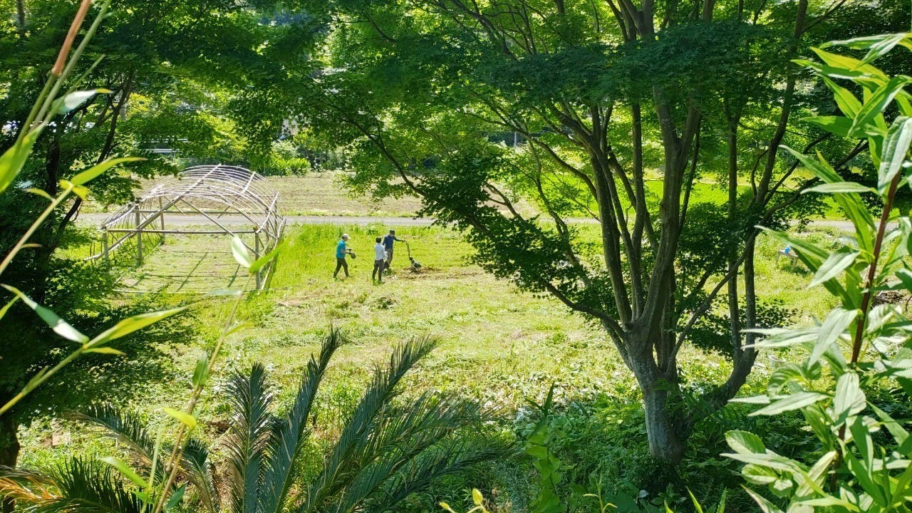 南房総の里山3000坪まるごと使える！古民家／畑／裏山の写真17