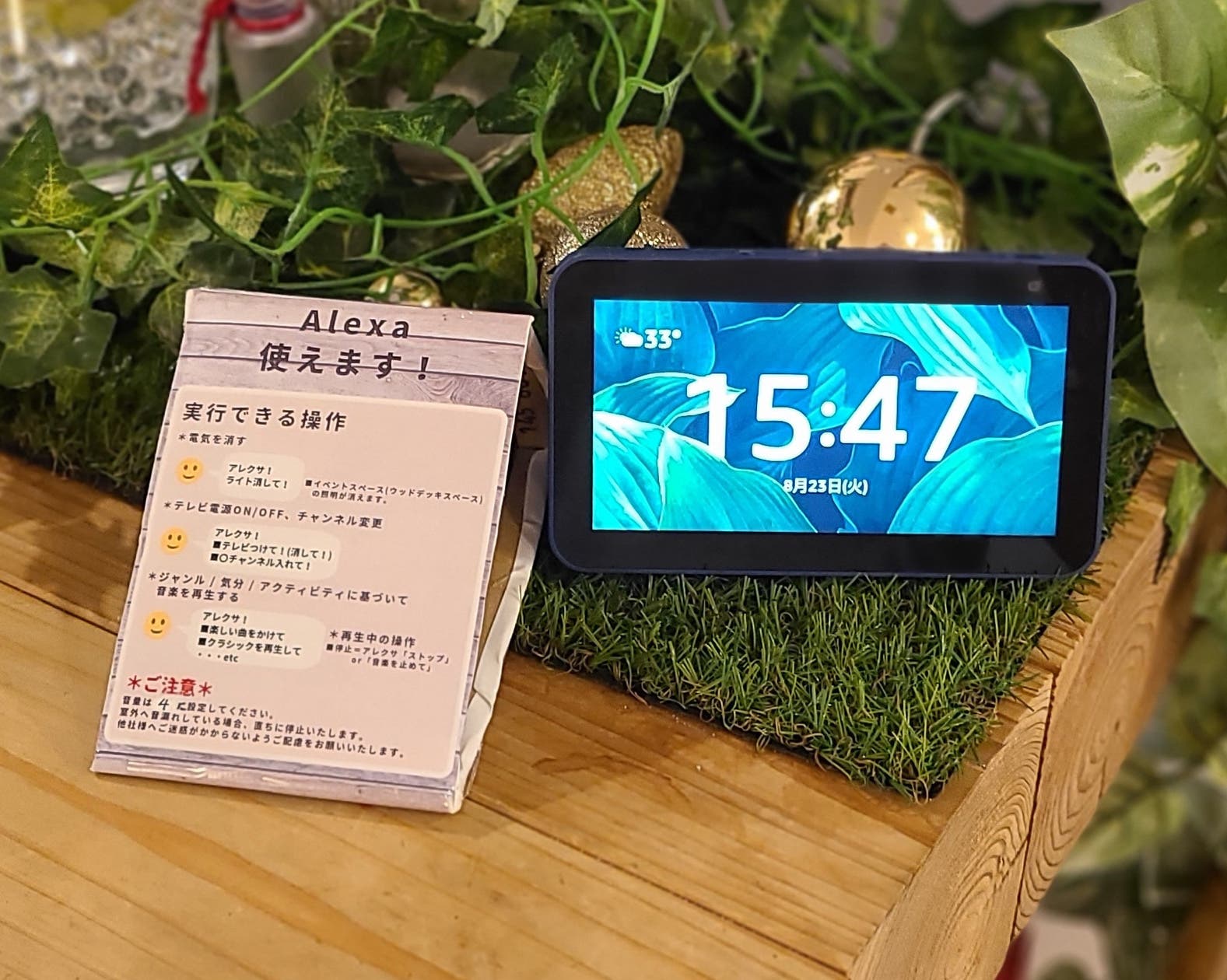 🎅クリスマス装飾🎄🔔【駅前】緑広がる和らぎのボタニカルスペース♪大阪市/北区/梅田/扇町/天満/南森町のイベント・会議にの写真28