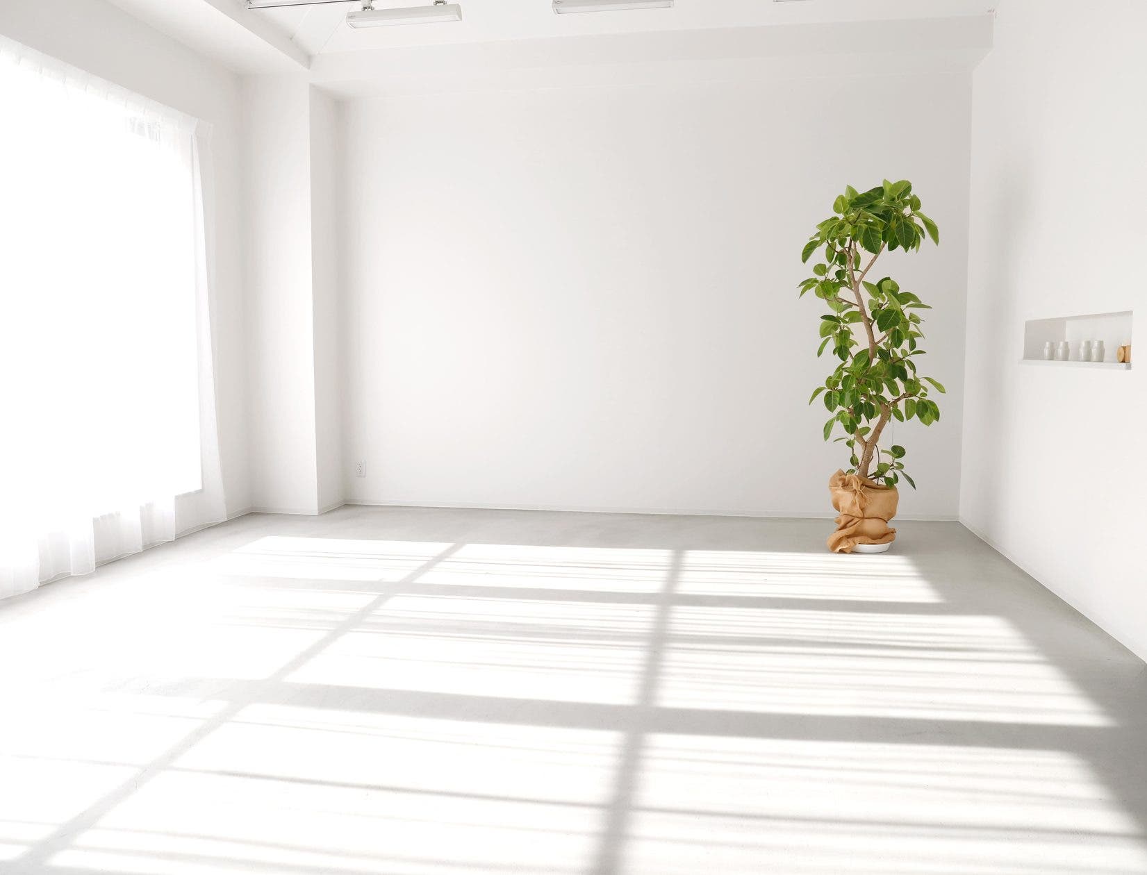 154㎡の開放的飽きないこだわりのシンプルスペース。自然光◎１歩外に出ればテラスでの撮影が可能の写真6