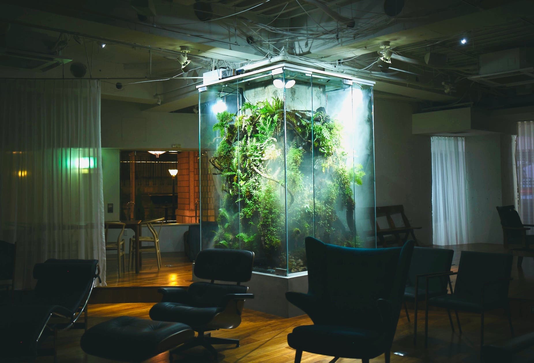 12月限定🉐渋谷駅徒歩13分、代官山駅徒歩3分のおしゃれ空間で大人数貸切パーティー！🎉（最大50名収容）の写真8