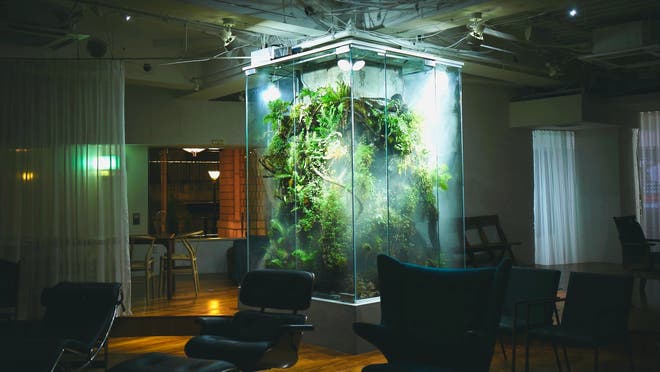 11月限定🉐渋谷駅徒歩13分、代官山駅徒歩3分のおしゃれ空間で大人数貸切パーティー!🎉(最大50名収容)の写真8