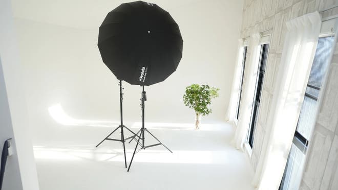 都内屈指の内装!おしゃれなフォトスタジオで撮影しませんか?の写真4