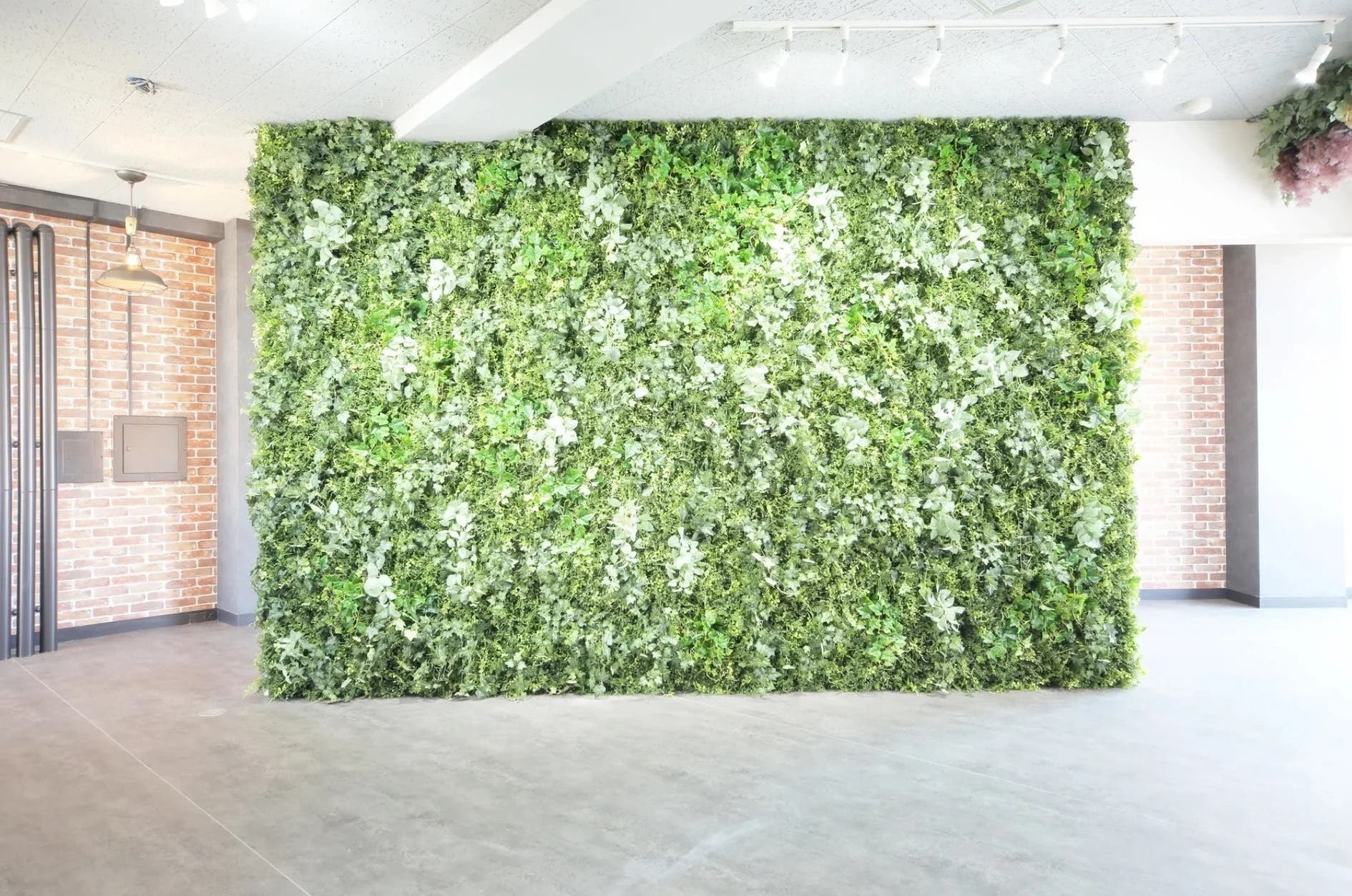 様々なシチュエーション、世界観に対応した本格的な撮影が可能です。の写真8