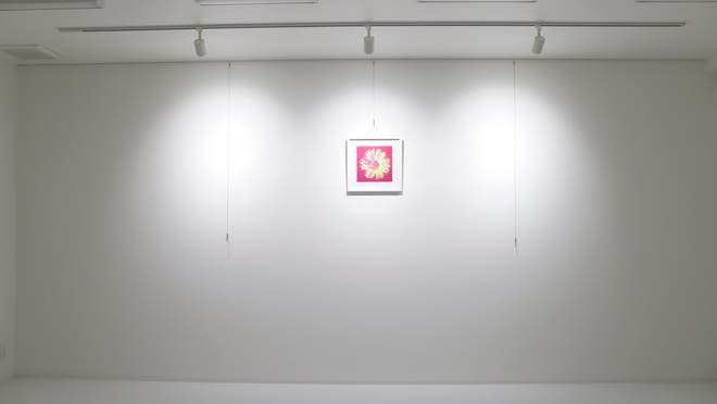 窓のある白ホリ風スタジオ。スポットライト、ピクチャーレール完備。の写真3