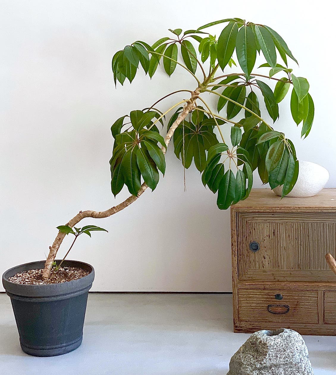 中目黒9分のデザイナーズアトリエスタジオ　1F2Fの写真9