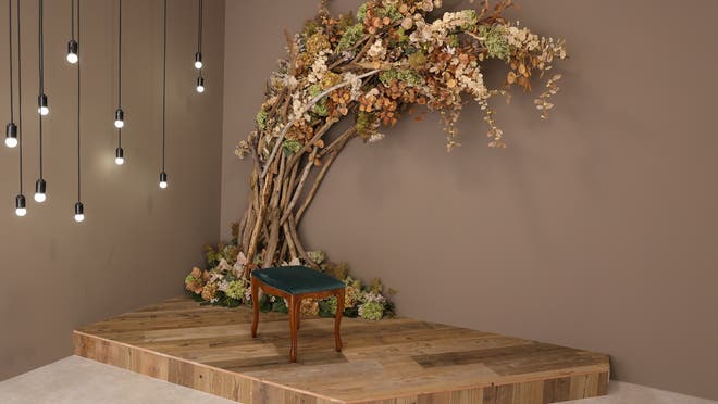 西尾市 国道23号線 小島インター下車すぐの写真スタジオですの写真7