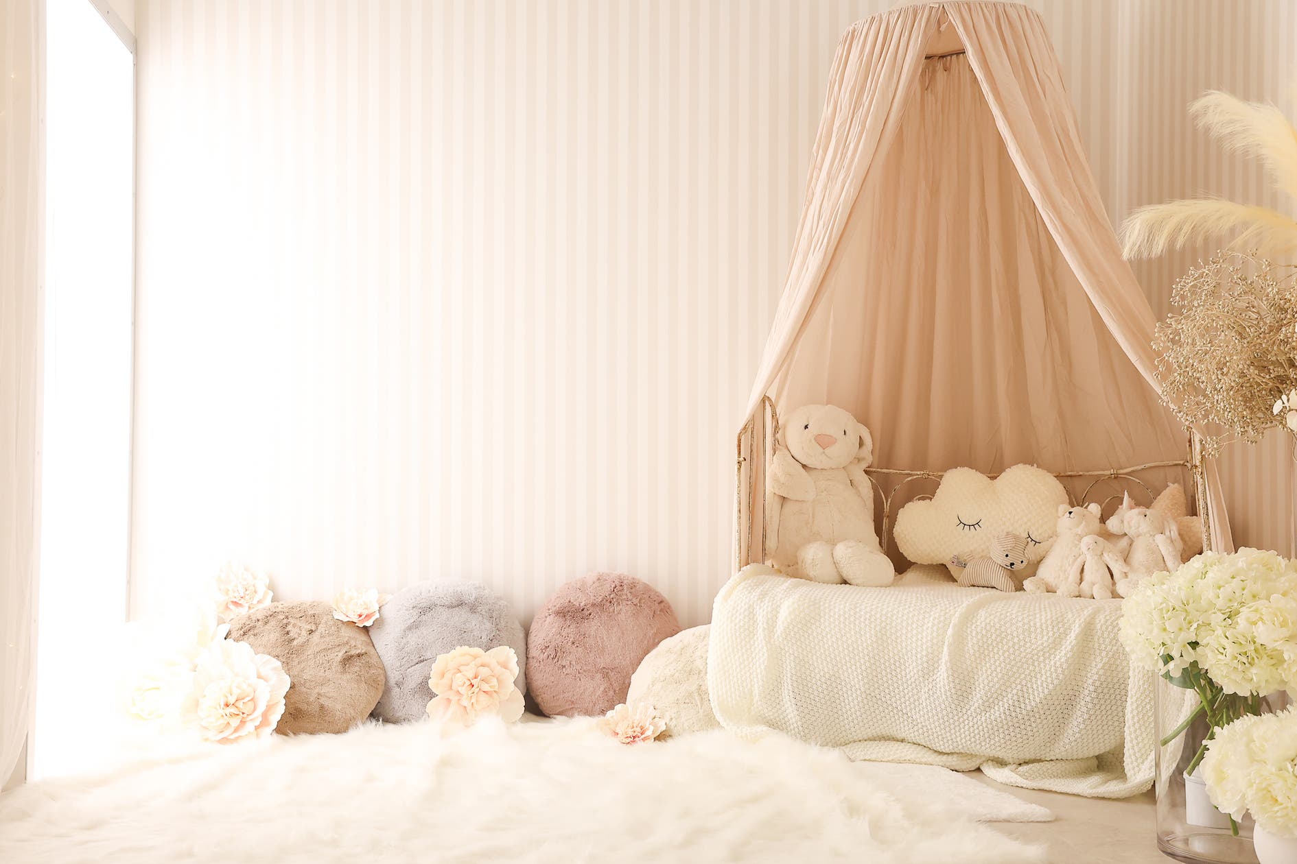 西尾市　国道23号線　小島インター下車すぐの写真スタジオですの写真8