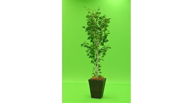 【八王子】広くて安い！クロマキーカーテン付き！動画スタジオの写真13