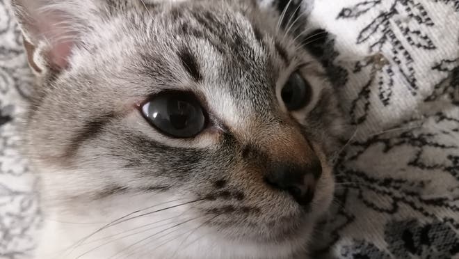 奈良県生駒市 リラクゼーションやエステ、整体などでご利用いただける自宅サロンの写真4