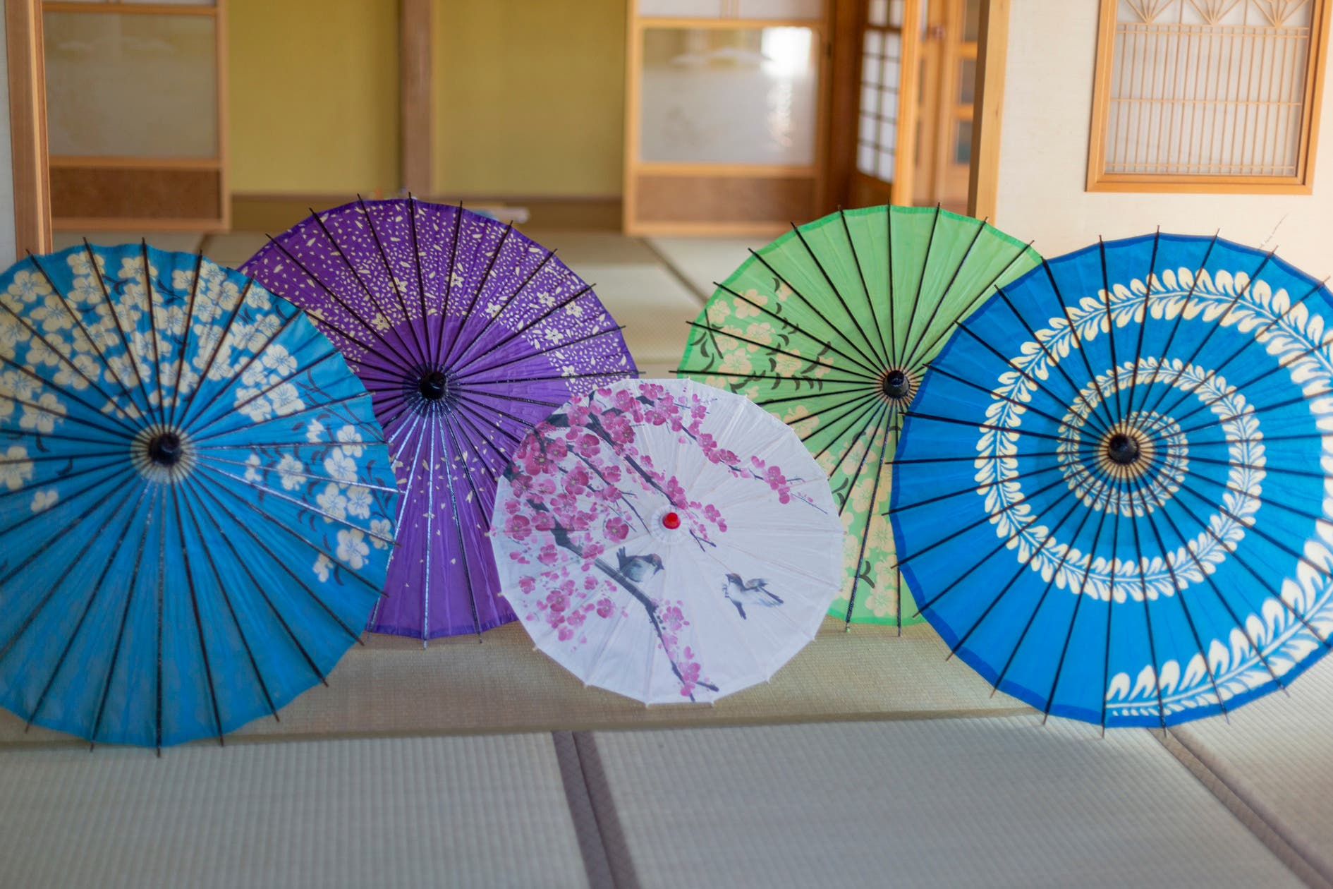 平成５年築170株のバラが咲く庭、全室南向きの民家スタジオですの写真14