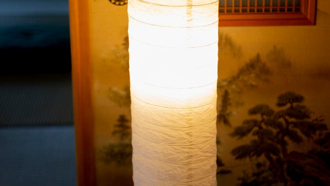 平成5年築170株のバラが咲く庭、全室南向きの民家スタジオですの写真8