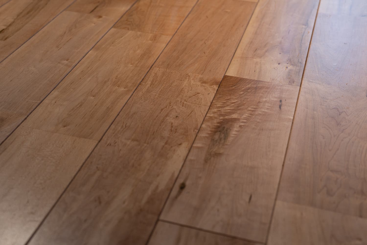 撮影、音楽スタジオ、イベントスペース、展示会、広尾天現寺の写真7