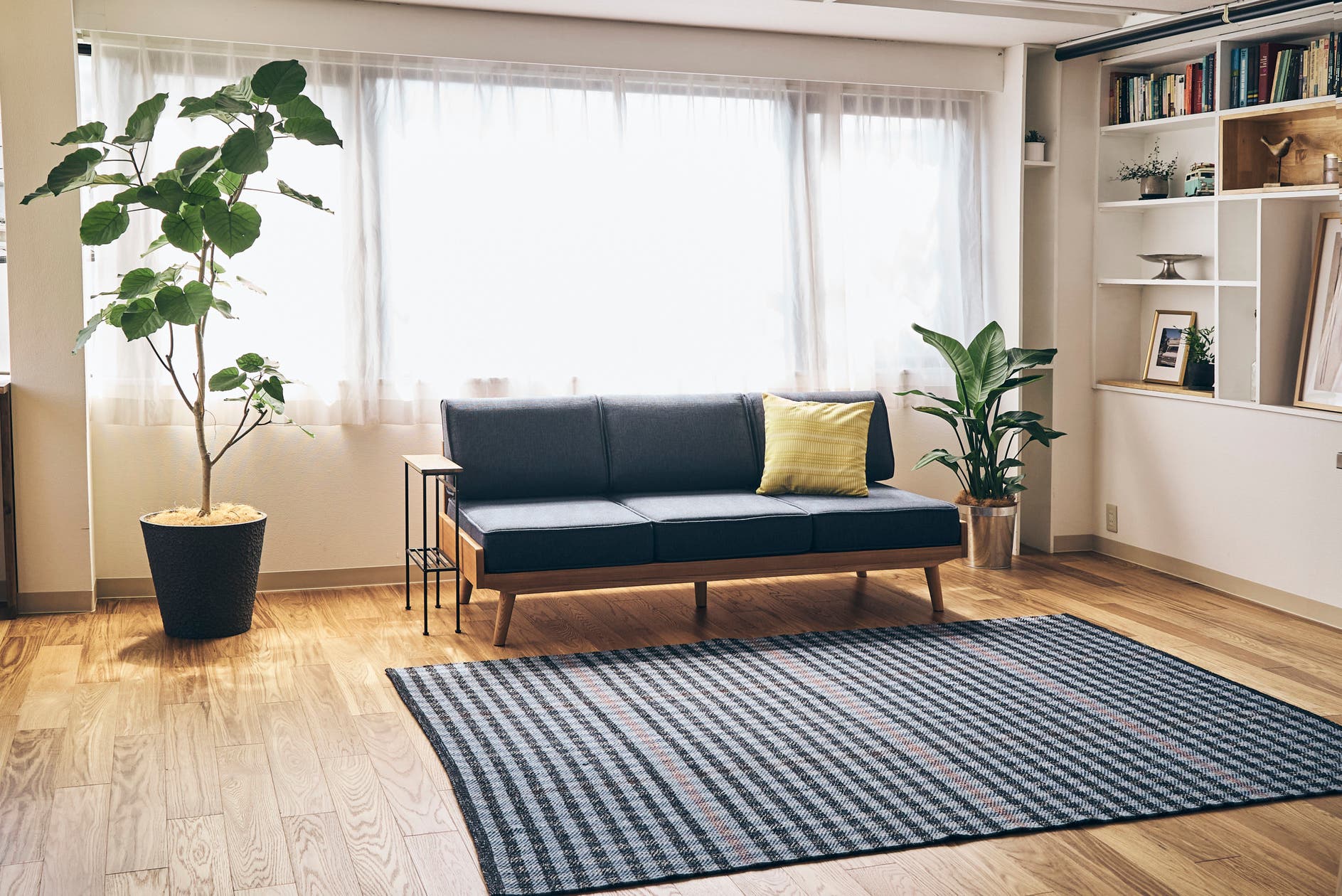 目黒区駒場東大前の駅から徒歩5分以内の撮影スタジオの写真7