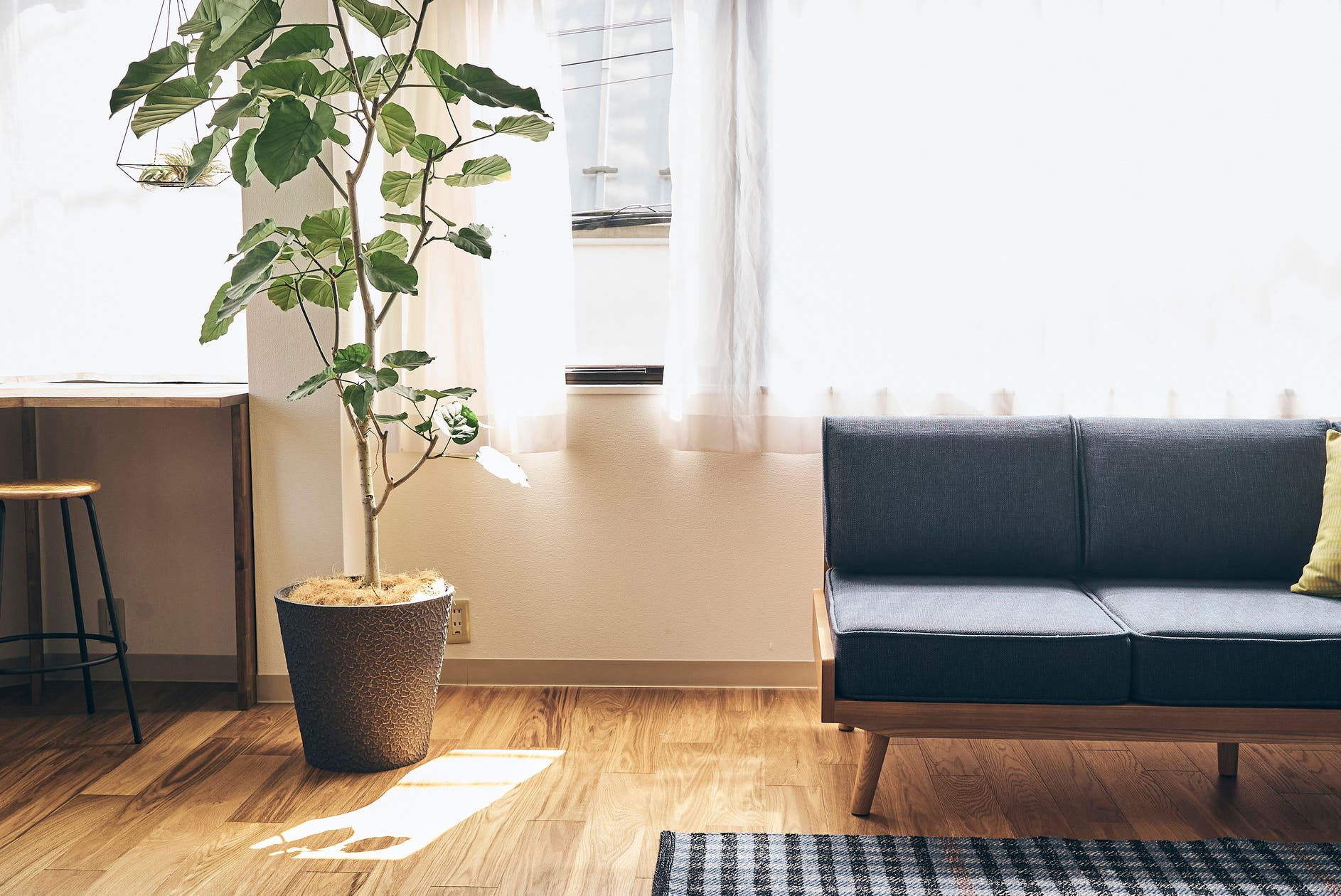 目黒区駒場東大前の駅から徒歩5分以内の撮影スタジオの写真9