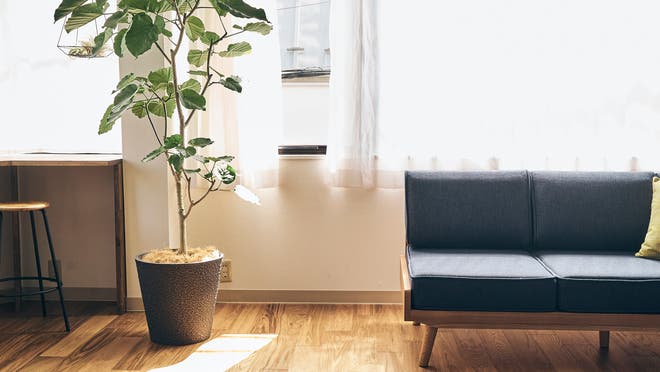 目黒区駒場東大前の駅から徒歩5分以内の撮影スタジオの写真9