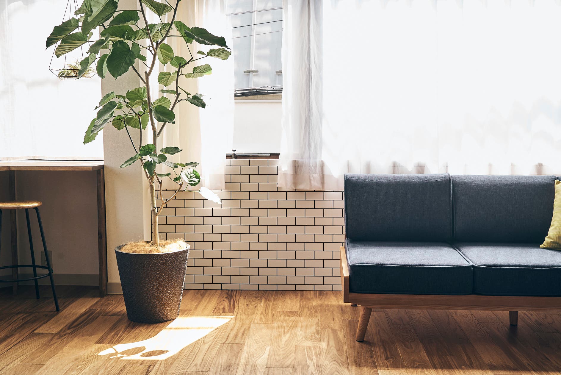 目黒区駒場東大前の駅から徒歩5分以内の撮影スタジオの写真10