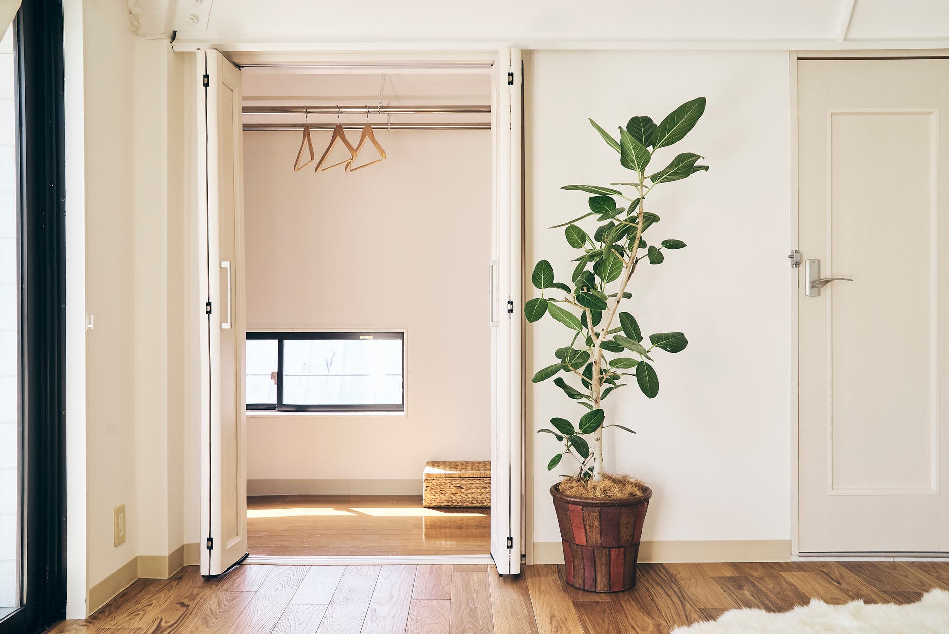 目黒区駒場東大前の駅から徒歩5分以内の撮影スタジオの写真27