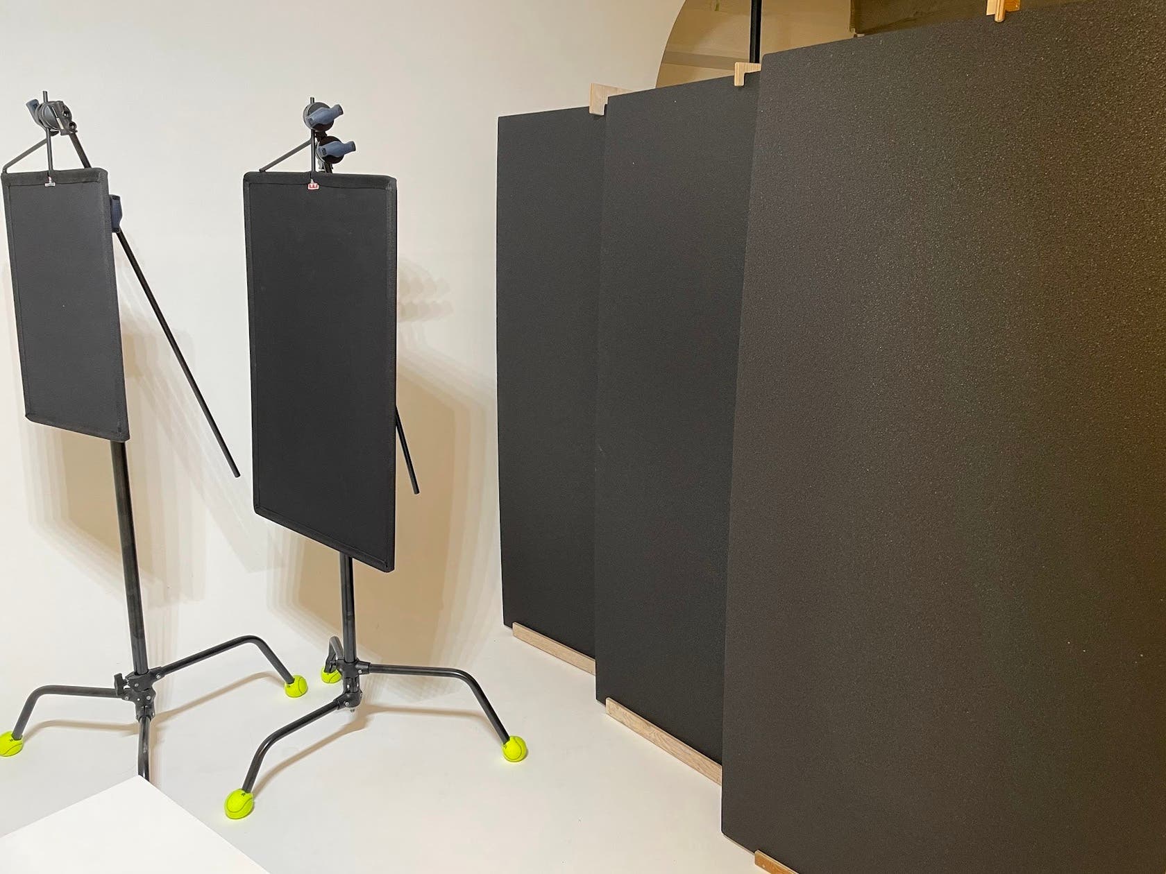 カポックの画像2