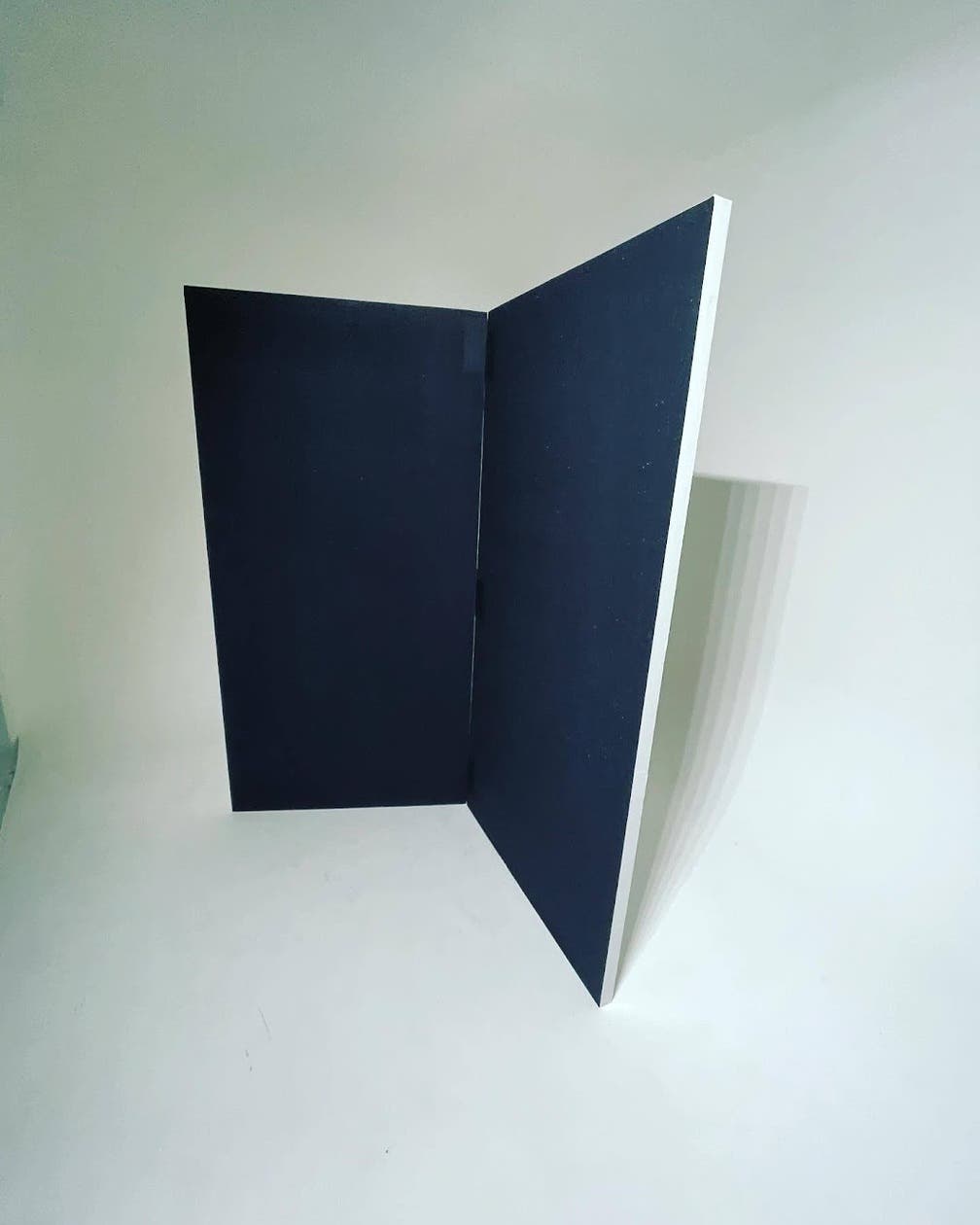 カポックの画像4