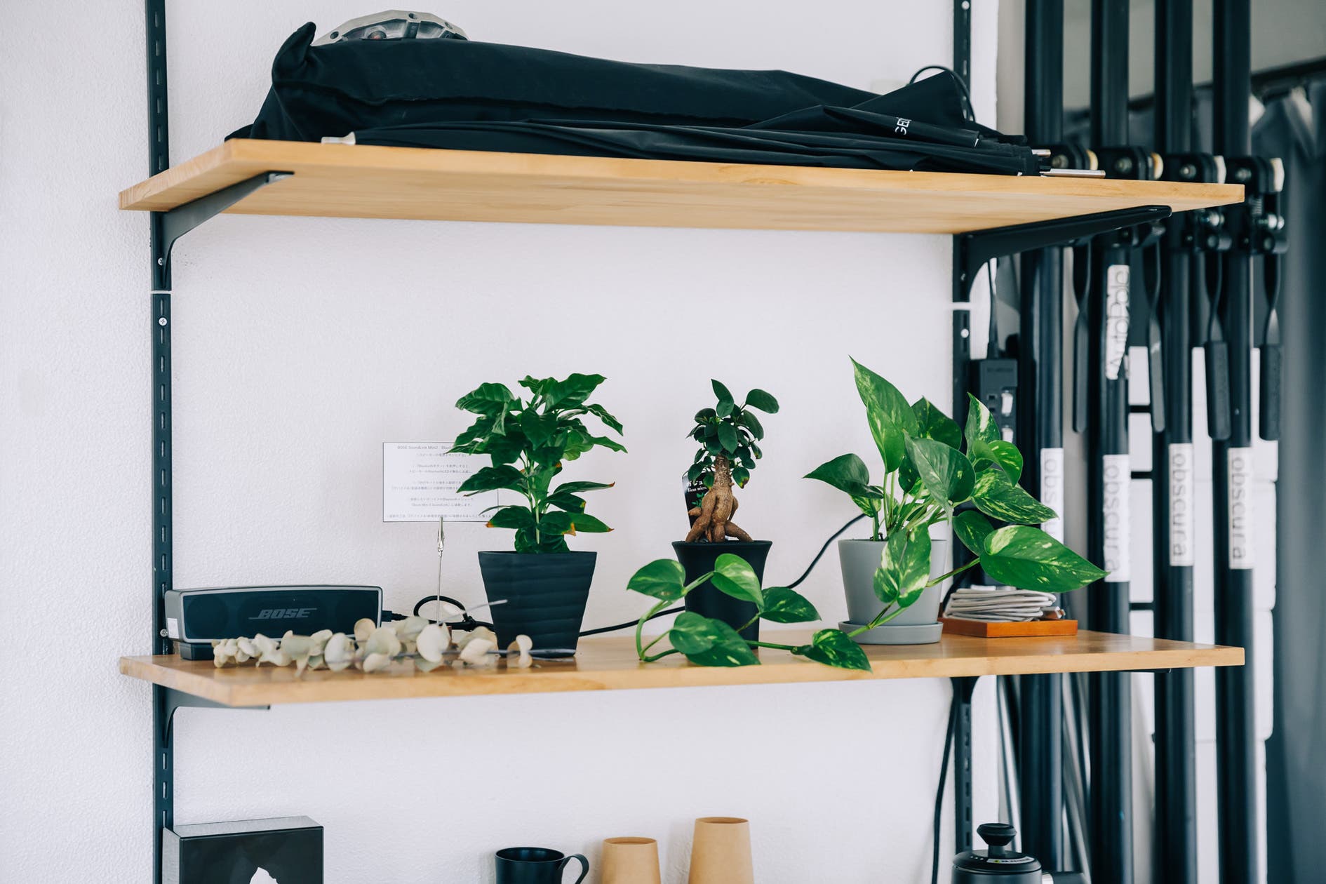 【 無料機材も充実 】 南向き窓で柔らかい自然光・白壁・モルタル床・奥行き8m ・清潔【駅近！大田区馬込駅2分】の写真23