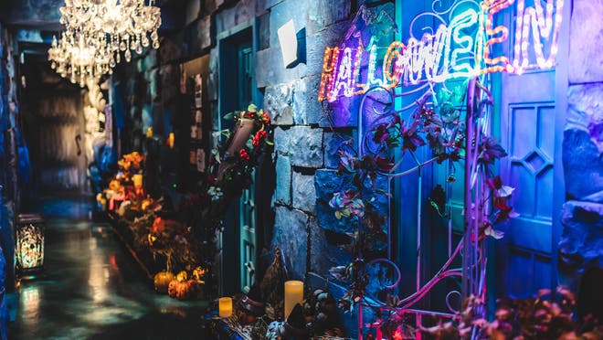 秋葉原駅徒歩1分!会議・セミナー・研修・パーティー・撮影が映える!面白いイベント会場 【王宮の魔法学校】の写真14