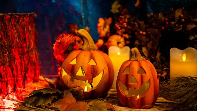 秋葉原駅徒歩1分!会議・セミナー・研修・パーティー・撮影が映える!面白いイベント会場 【王宮の魔法学校】の写真15