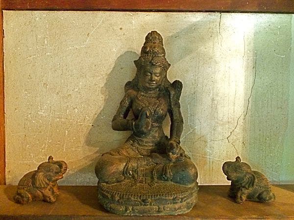 【宮崎】築130余年の古民家を改造した和モダンなシェアハウス　これからのシーズンは花見もできますの写真5